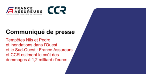 Tempêtes Nils et Pedro et inondations dans l’Ouest et le Sud-Ouest ...